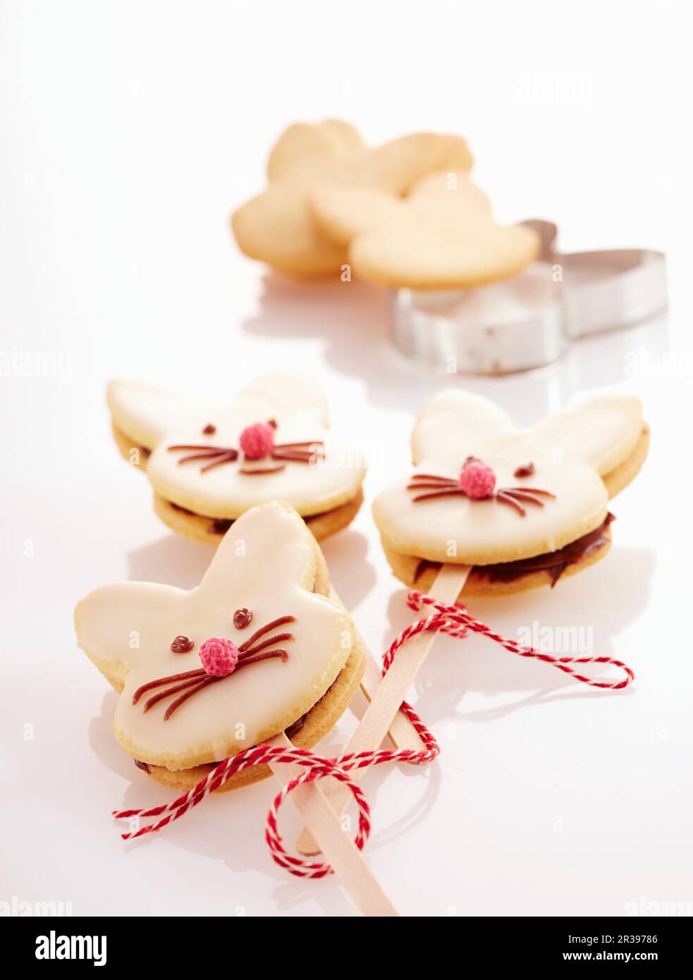 Easter bunny biscuits lollies decorated with chocolate cream and icing ...