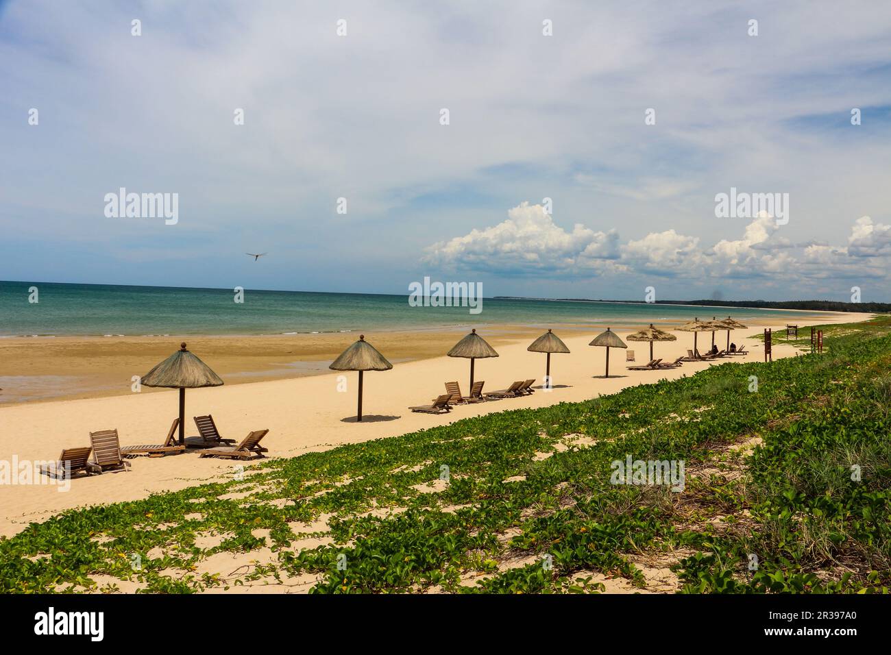 Perfect tropical beach Stock Photo - Alamy