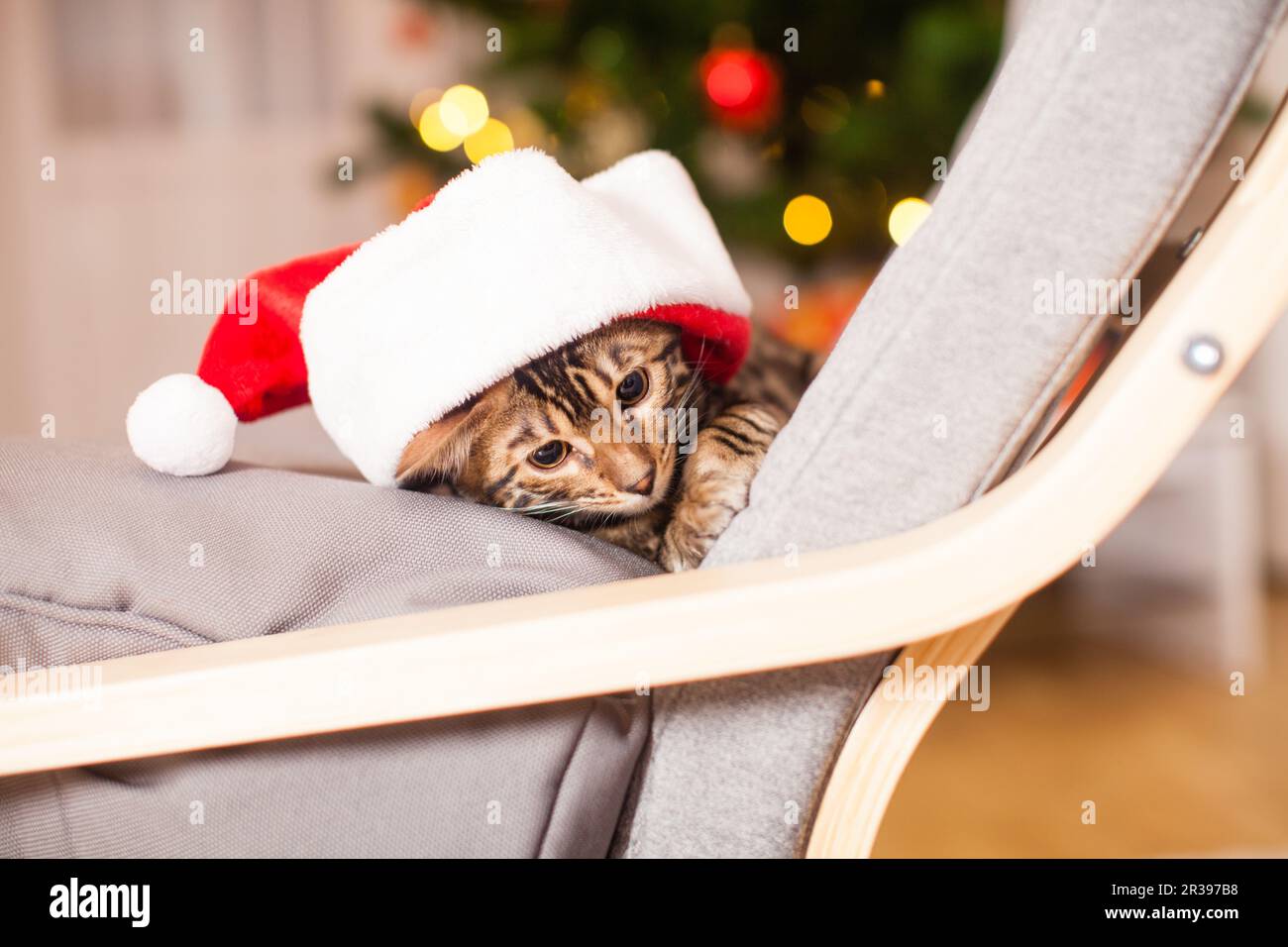 Santa in armchair hi-res stock photography and images - Alamy