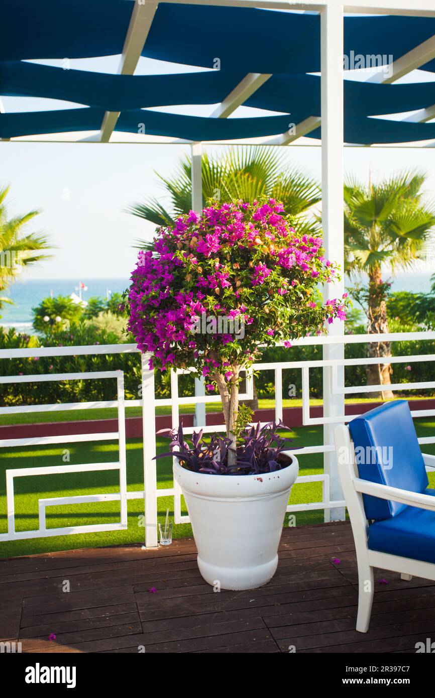 Vivid view hi-res stock photography and images - Alamy