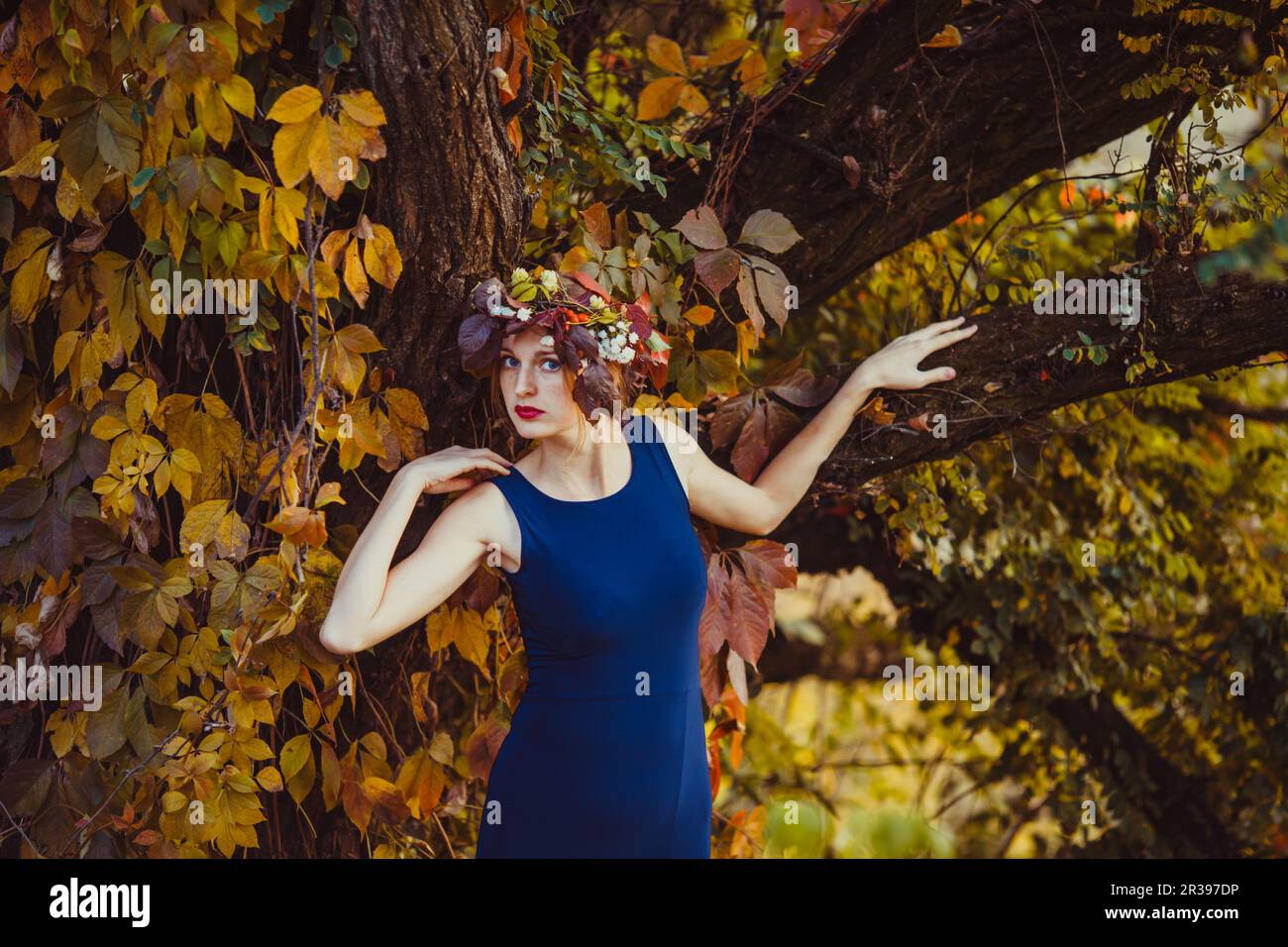 Sensual woman with fall wreath over the autumnal tree Stock Photo - Alamy