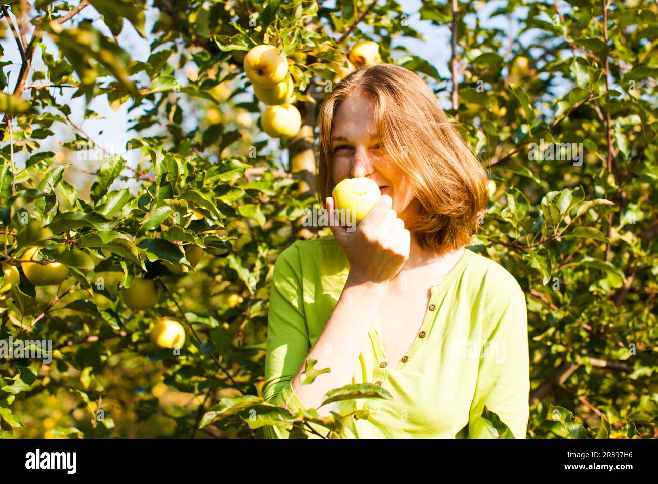 Healthy woman eating a fresh apple, isolated over a white background ...