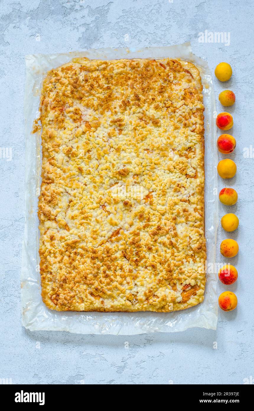 Grated cake with apricots on a concrete surface Stock Photo - Alamy