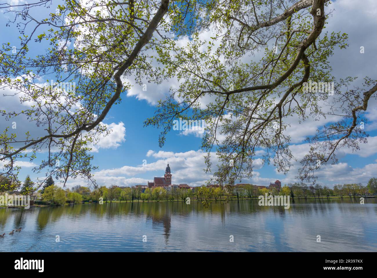 View on the town from Schaugarten, country town Waren, Mueritz ...