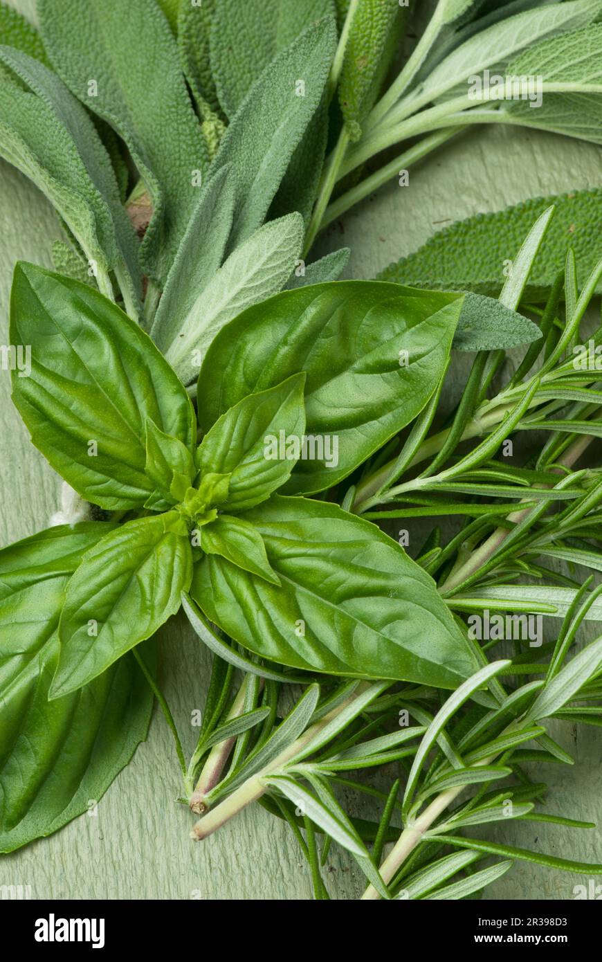 Food picture of rosemary herb hi-res stock photography and images - Alamy