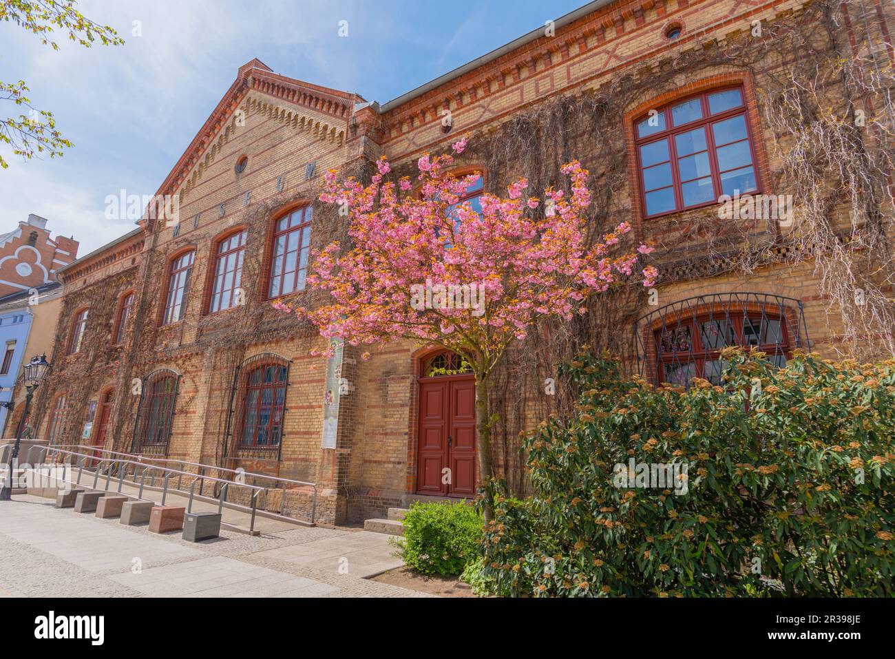 Museum Mueritzeum, old building, country town Waren, Mueritz ...