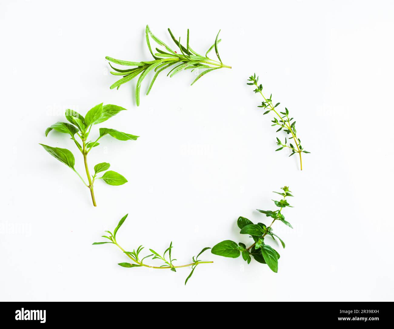 Greenery circle Cut Out Stock Images & Pictures - Alamy