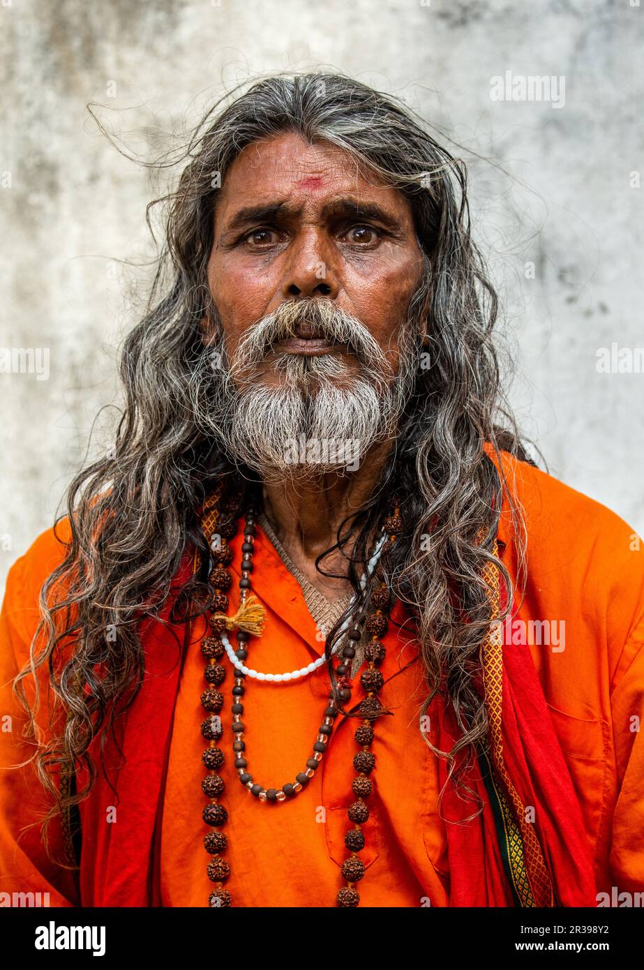Portrait of a Sadhu in traditional dress Stock Photo - Alamy