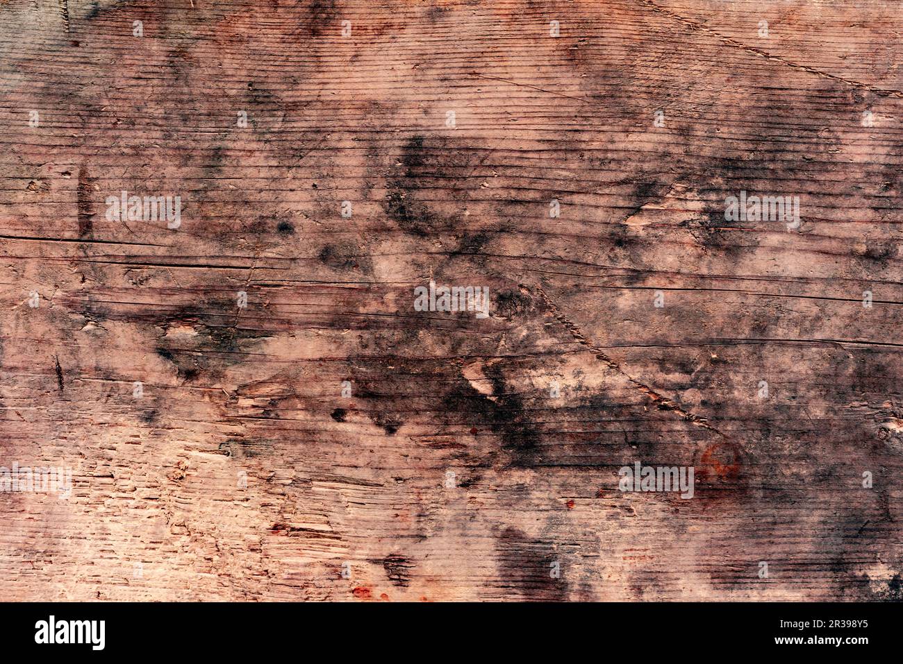 Texture, wood, wall, it can be used as a background. Wooden texture ...