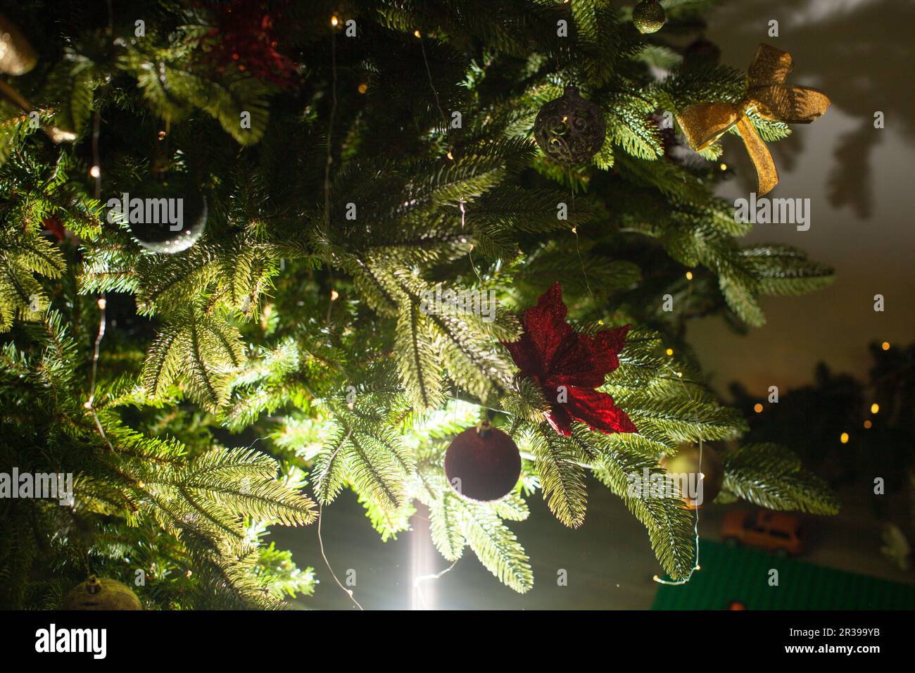 Fairy tale tree hi-res stock photography and images - Alamy
