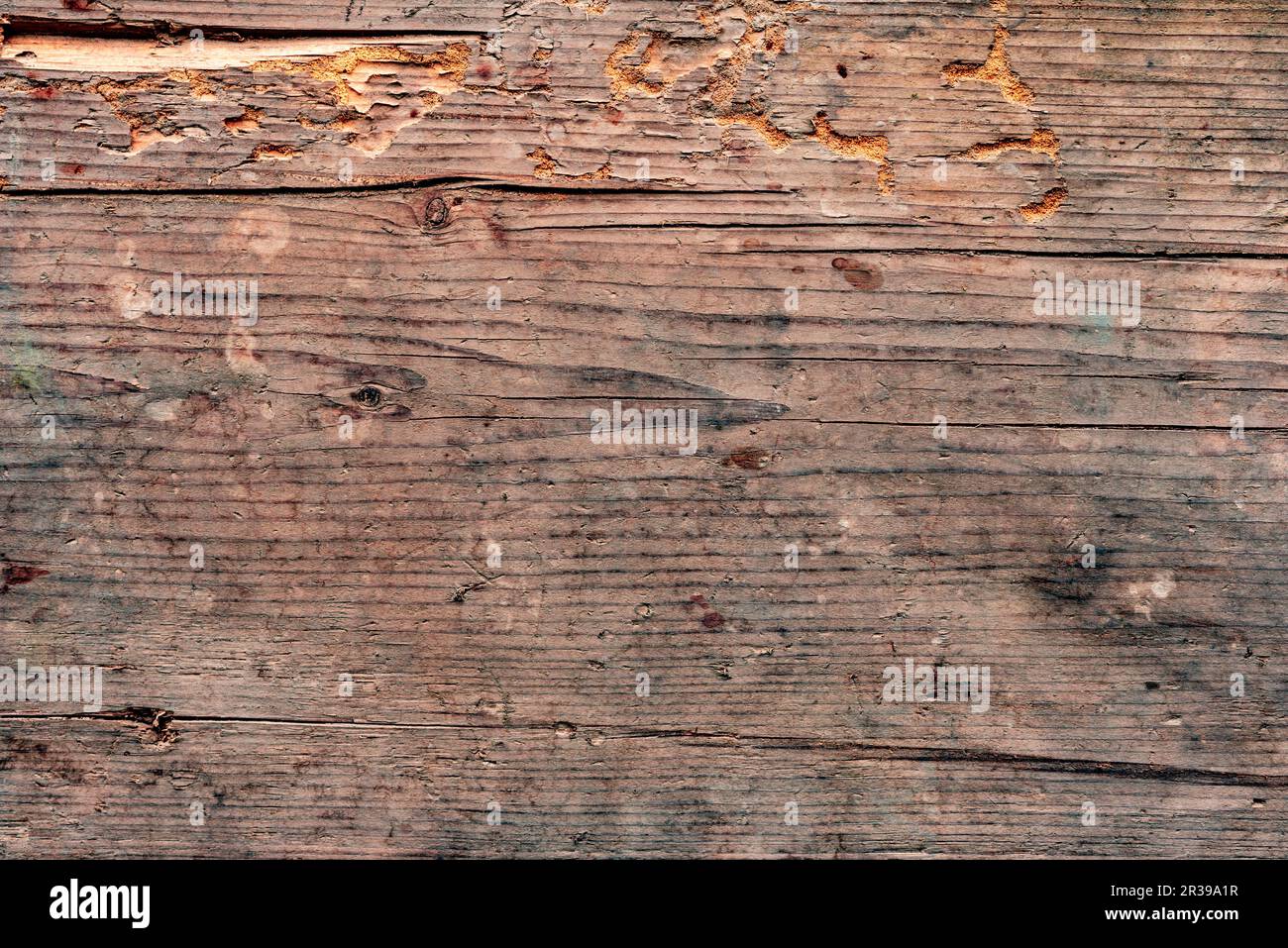 Texture, wood, wall, it can be used as a background. Wooden texture ...