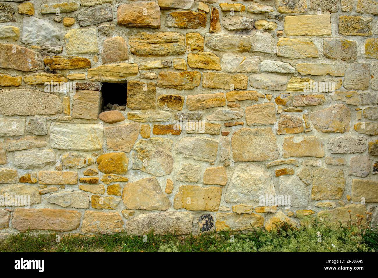 Remains of castle walls with window, Mühlburg Castle, one of the so ...