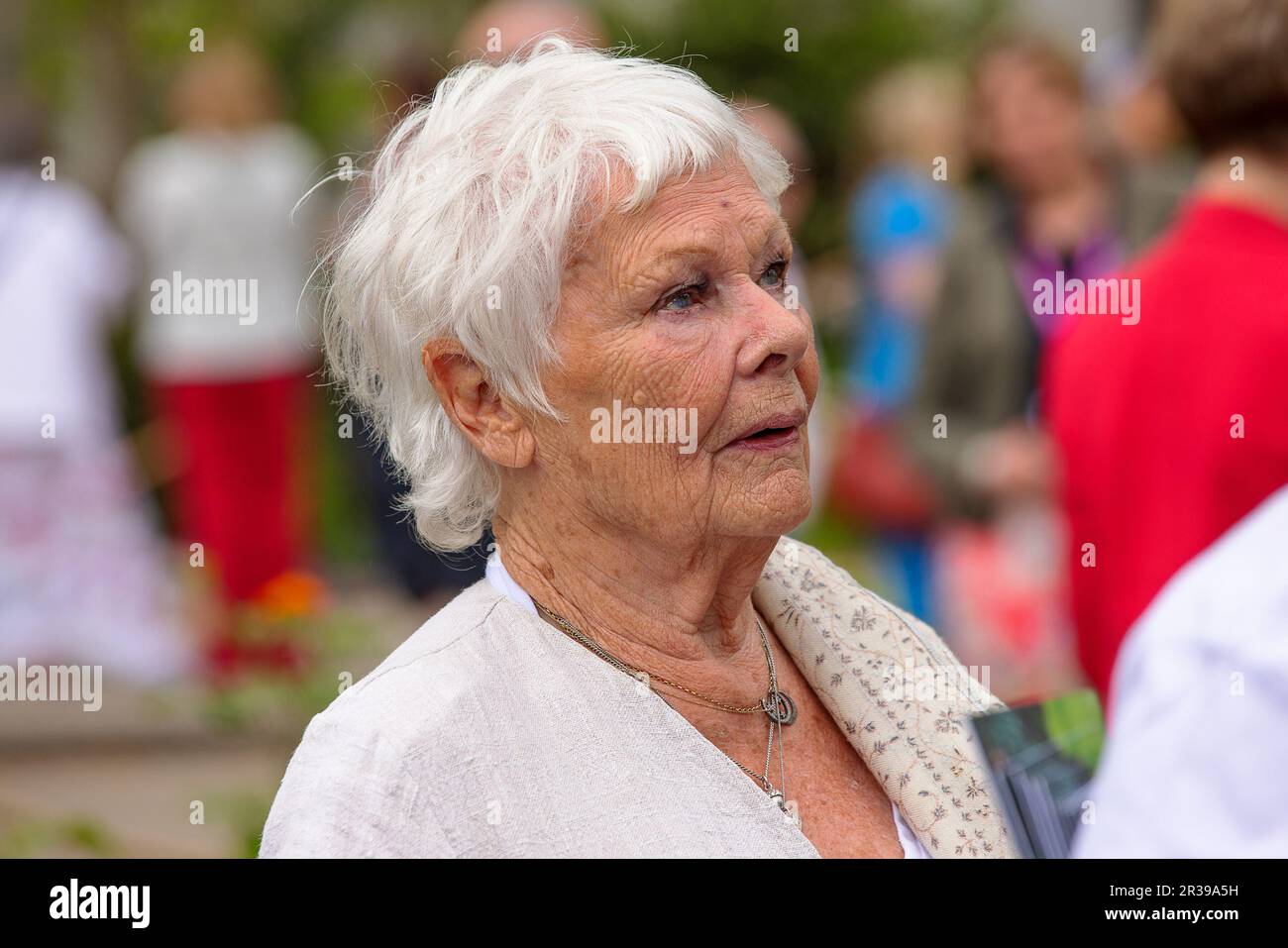 London, UK. 22nd May, 2023. Dame Judi Dench attending the 2023 RHS ...
