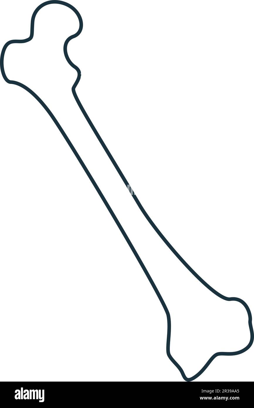 Bone icon. Monochrome simple sign from anatomy collection. Bone icon ...
