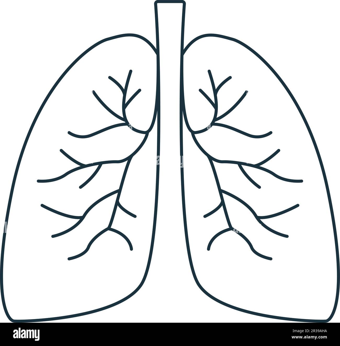 Lungs icon. Monochrome simple sign from anatomy collection. Lungs icon ...