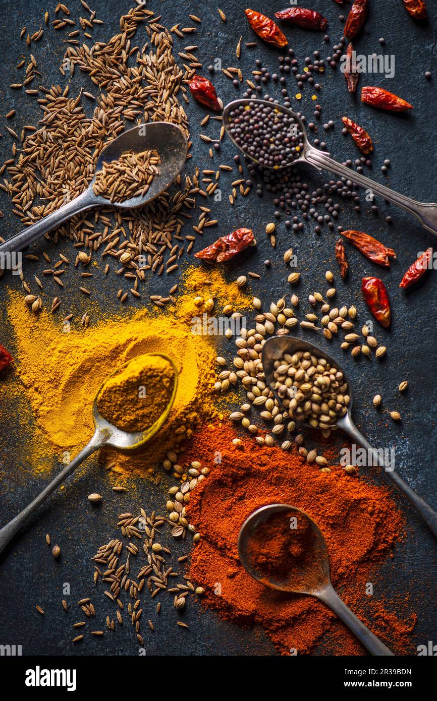 Dry indian spices, cumin, chilli, coriander, mustard seeds on a black ...