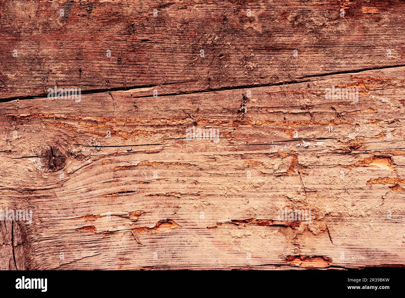 Texture, wood, wall, it can be used as a background. Wooden texture ...