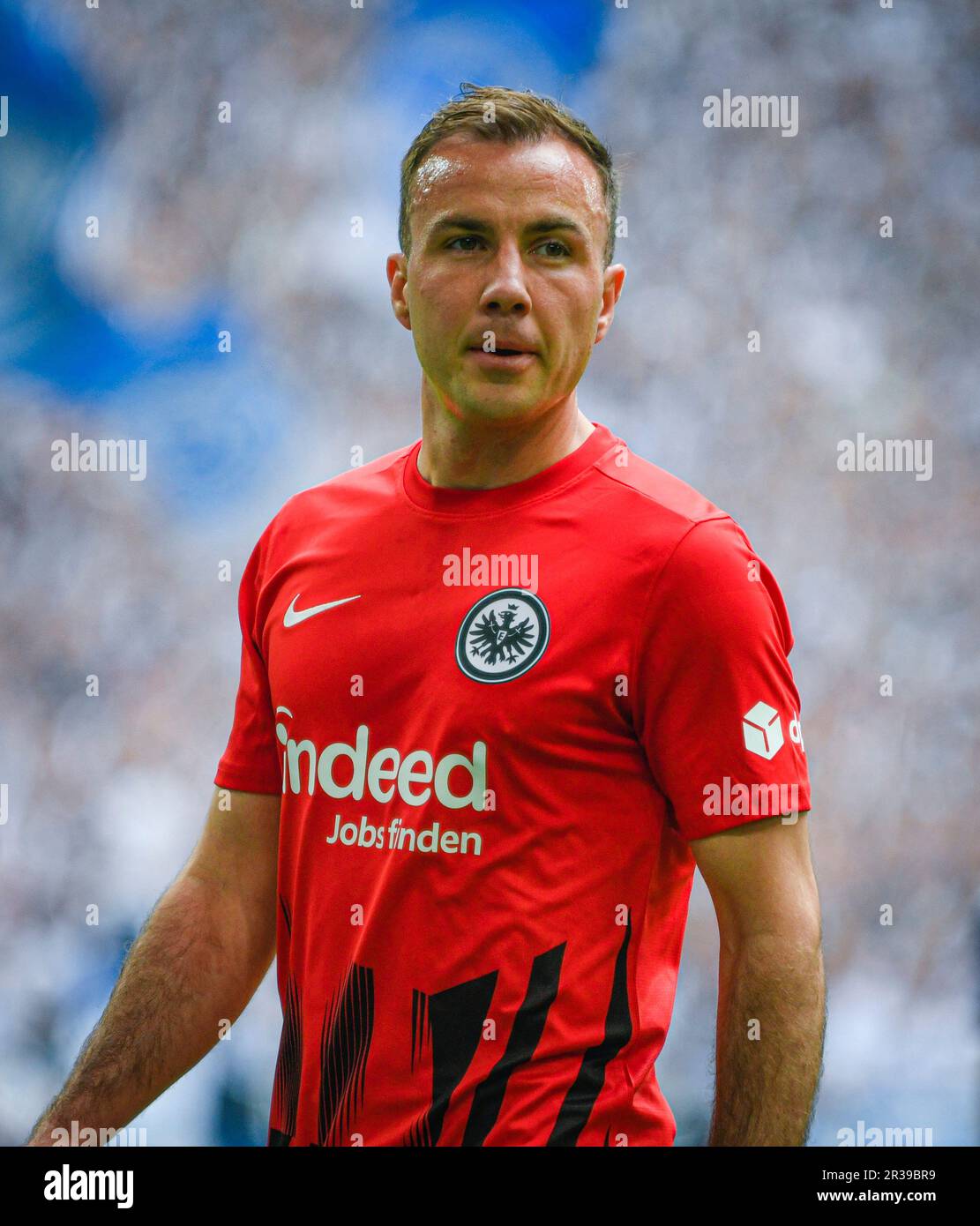 Veltins Arena Gelsenkirchen Germany, 20.5.2023, Football: Bundesliga ...