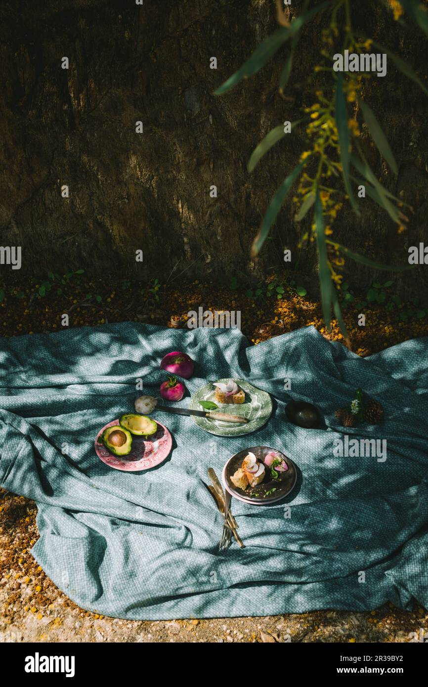 A picnic under a tree, with a picnic cloth on the ground with plates ...