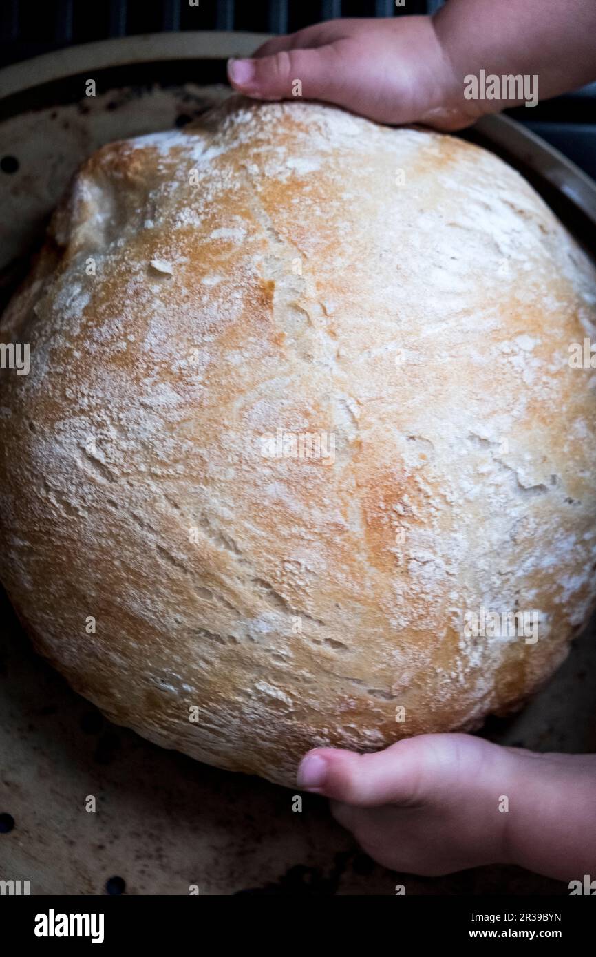 Fresh bread with little child hands Stock Photo - Alamy