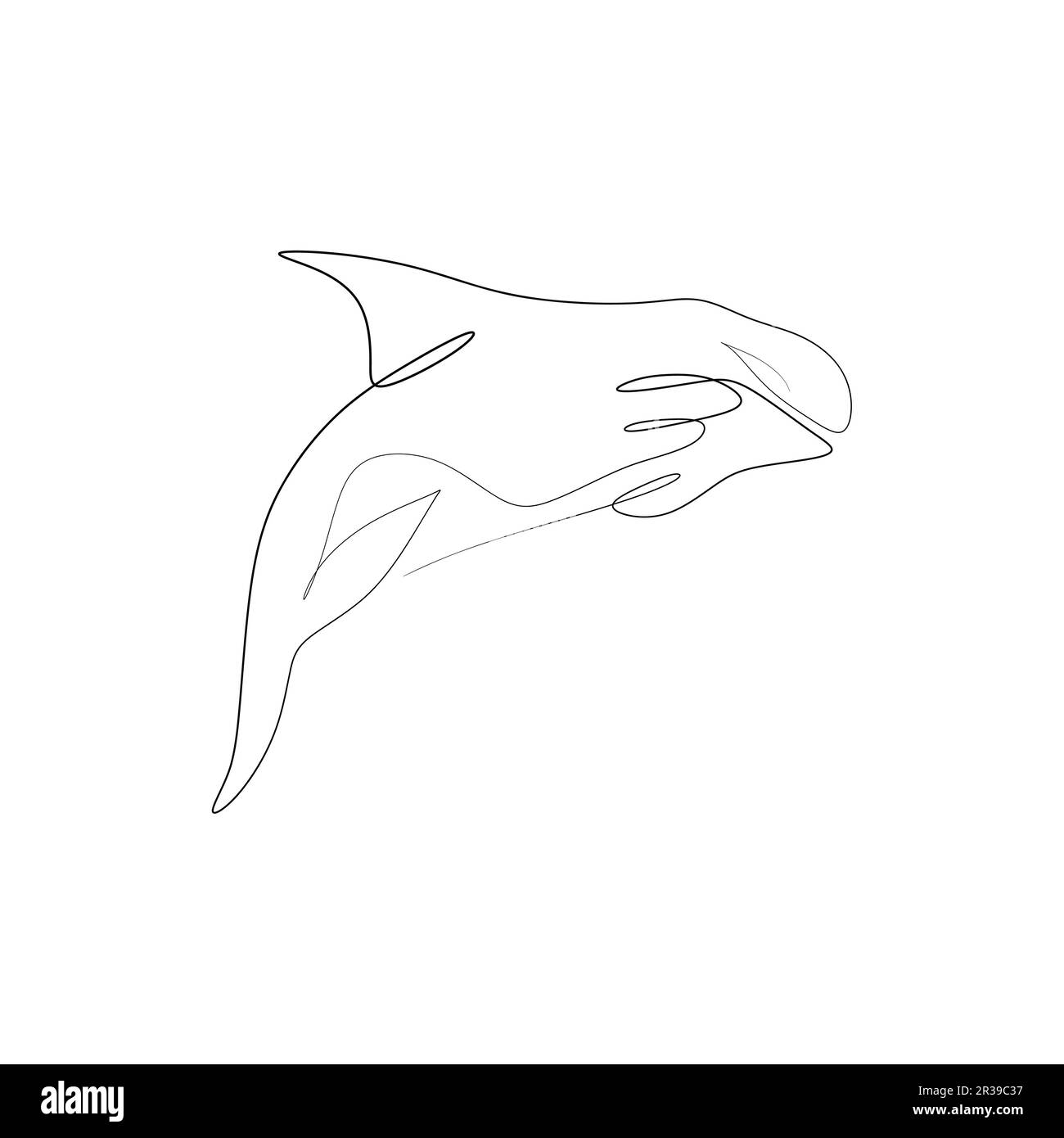 Orca Line Drawing Art Orca Black And White Stock Photos & Images