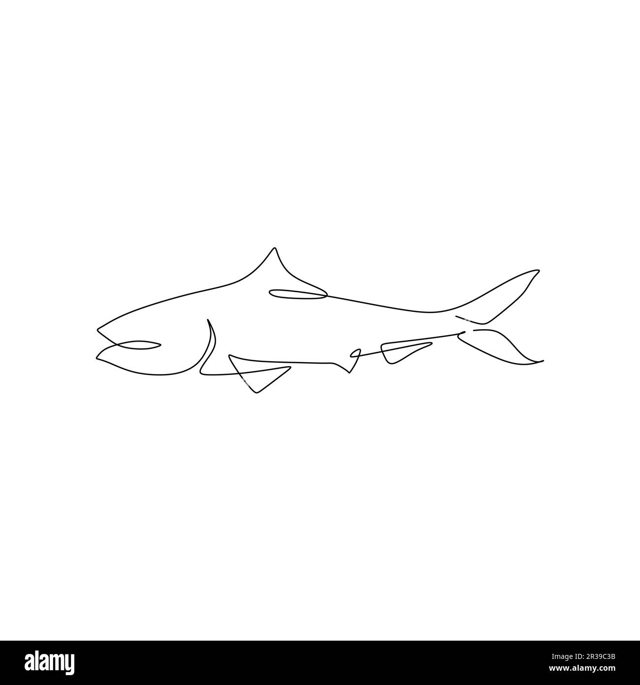 continuous line drawing of fish. Vector illustration on white ...