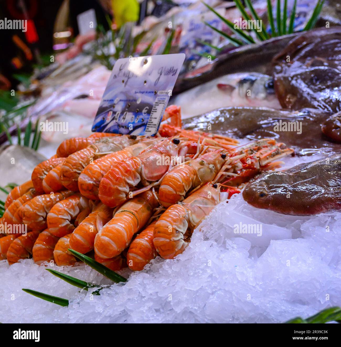 Market Stall Fish France Stock Photo - Alamy