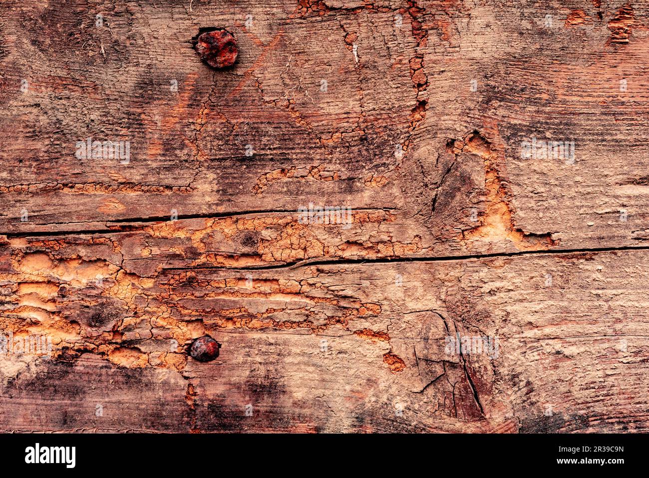 Texture, wood, wall, it can be used as a background. Wooden texture ...