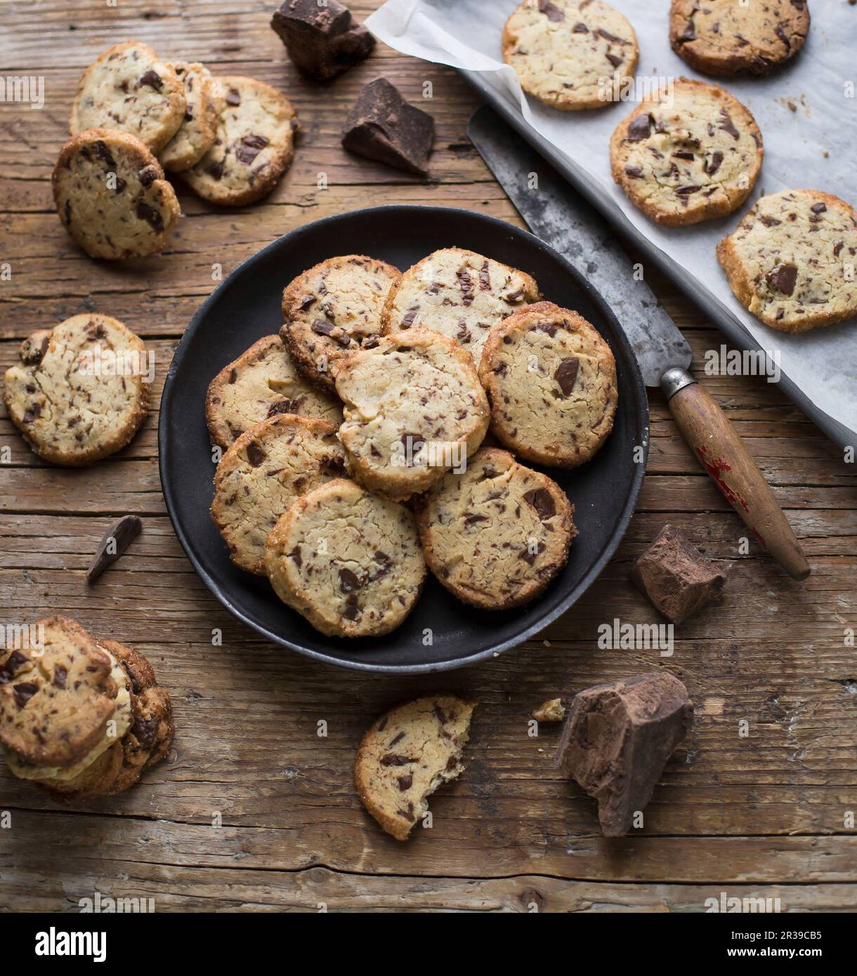 Homemade chocolate chip shortbread Stock Photo - Alamy