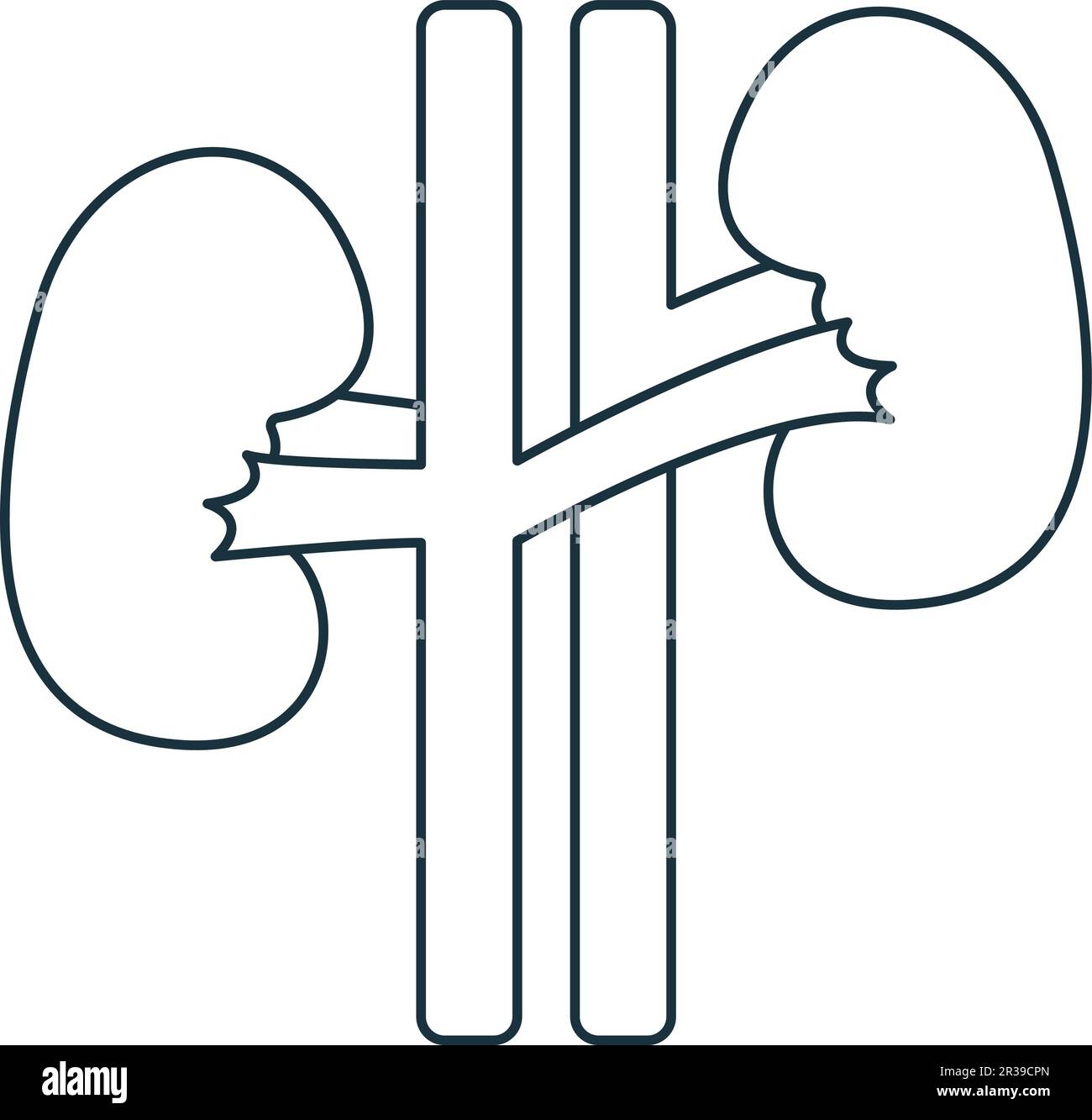 Kidneys icon. Monochrome simple sign from anatomy collection. Kidneys ...