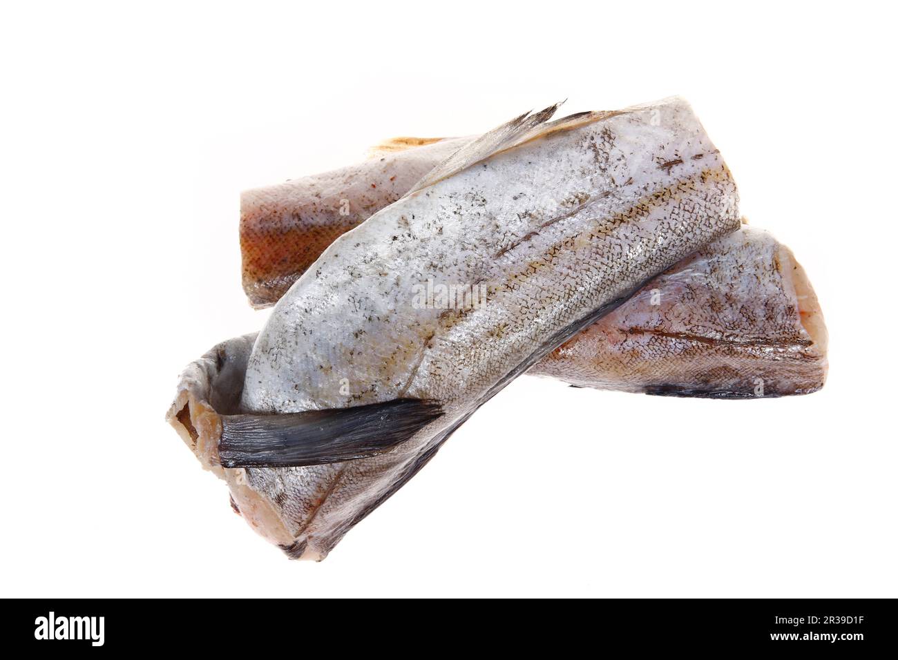 Cod isolated on a white background, fresh Stock Photo - Alamy