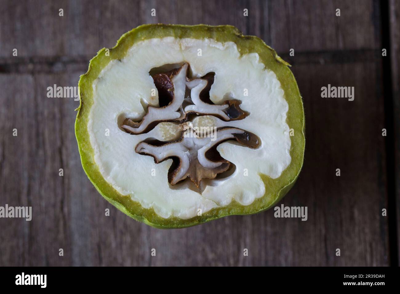 A cross-section of a green walnut (seen from above Stock Photo - Alamy