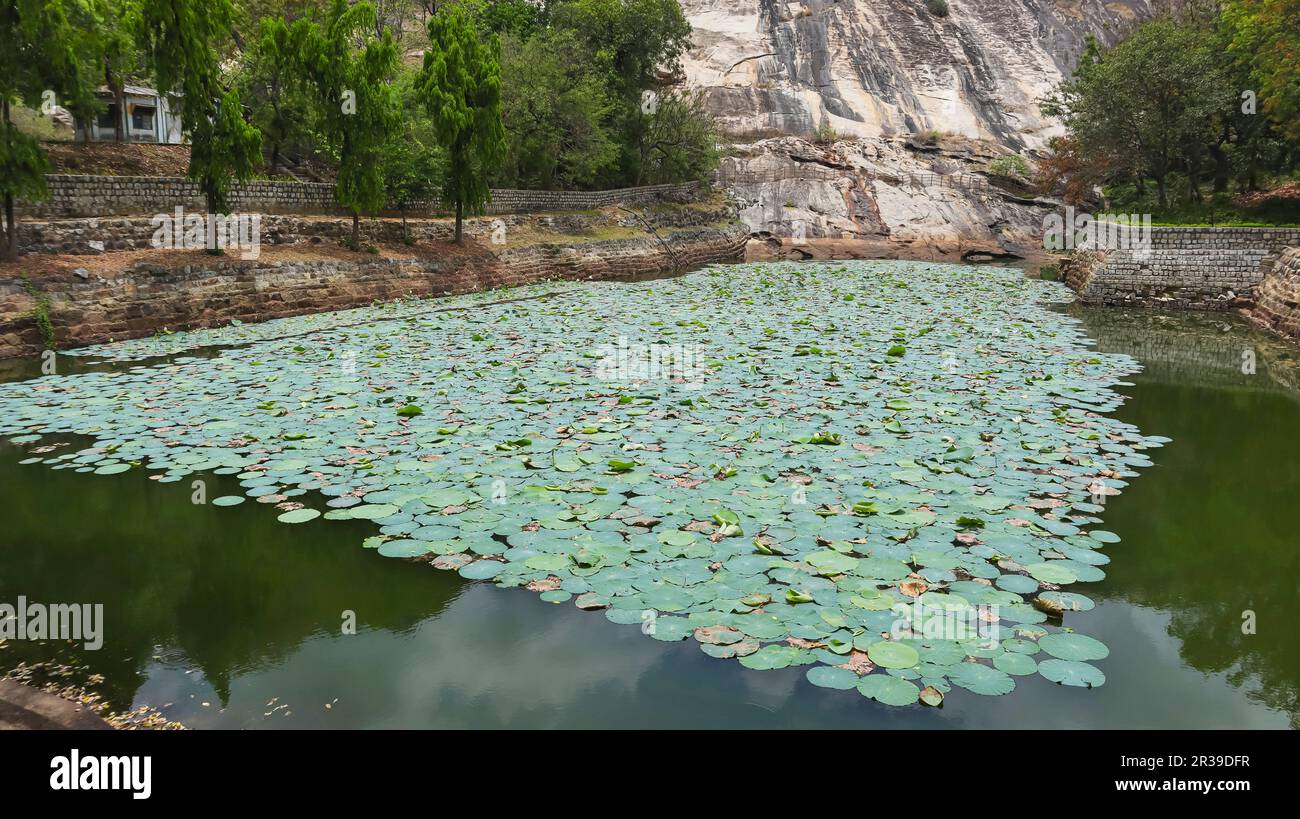 View of Chandragiri Fort Lake, Chandragiri, Tirupati, Andhra Pradesh ...