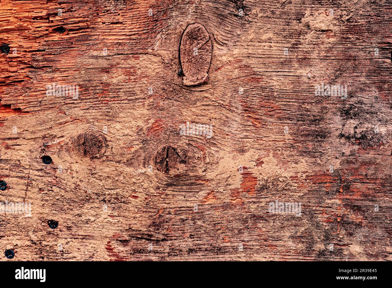 Texture, wood, wall, it can be used as a background. Wooden texture ...
