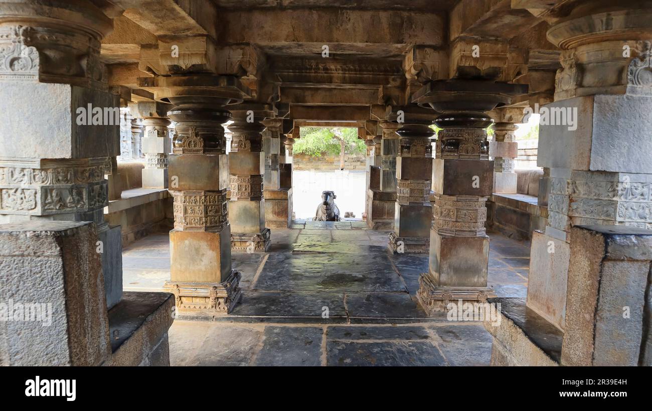 Inside Pillars View of Sri Kamakshi Vaidyanatha Swamy Temple ...