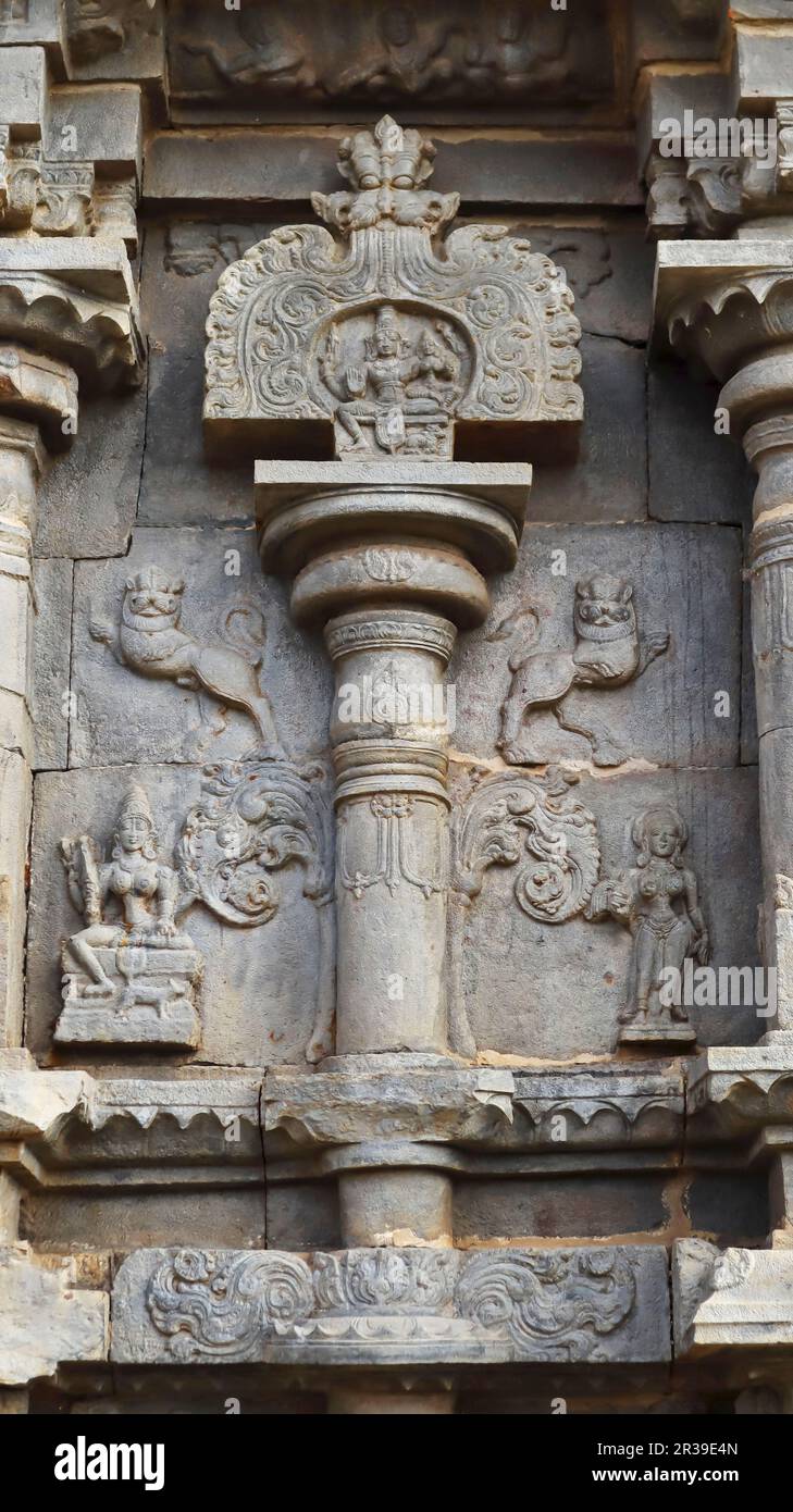 Carvings on the Sri Kamakshi Vaidyanatha Swamy Temple, Pushpagiri ...