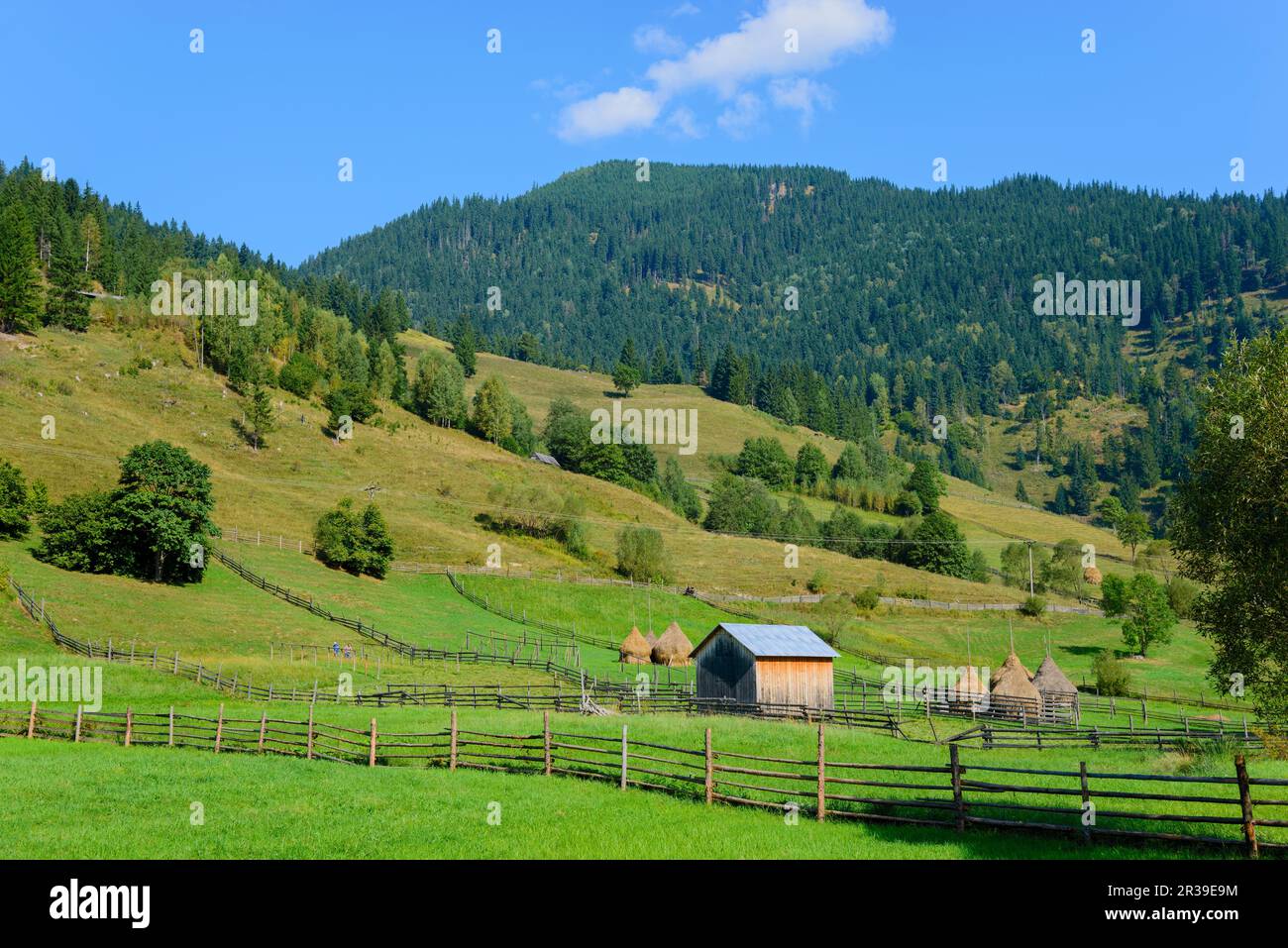 Calinesti hi-res stock photography and images - Alamy
