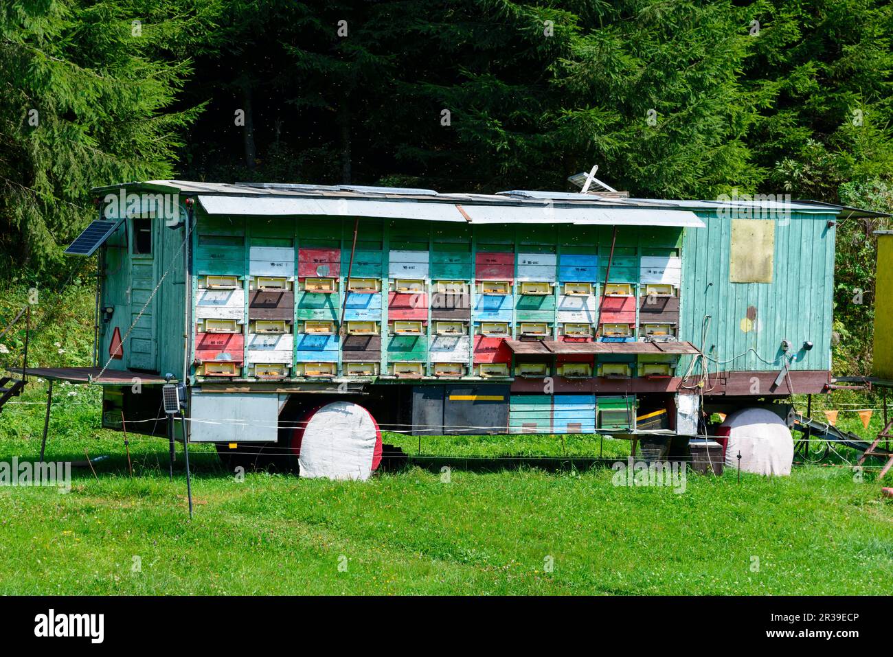 Bee car hi-res stock photography and images - Alamy