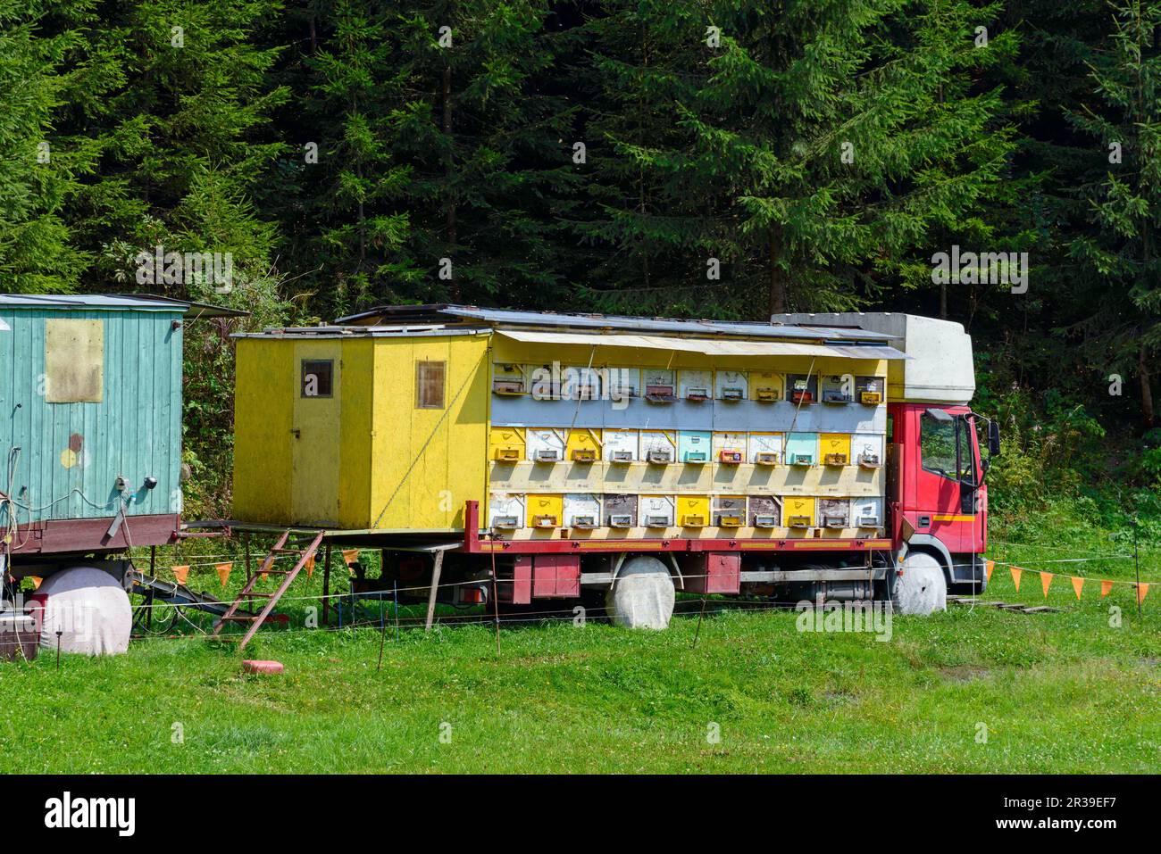 Bee car hi-res stock photography and images - Alamy