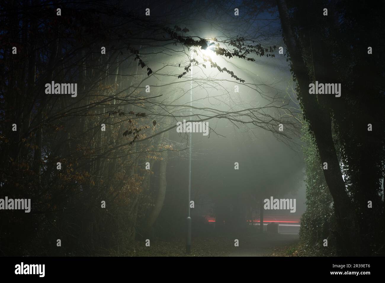 Heavy Fog at Night Stock Photo - Alamy