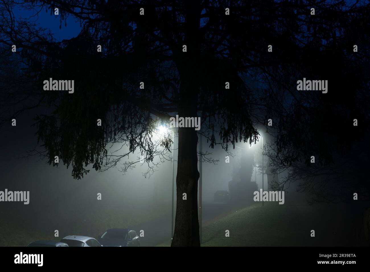 Heavy Fog at Night Stock Photo - Alamy