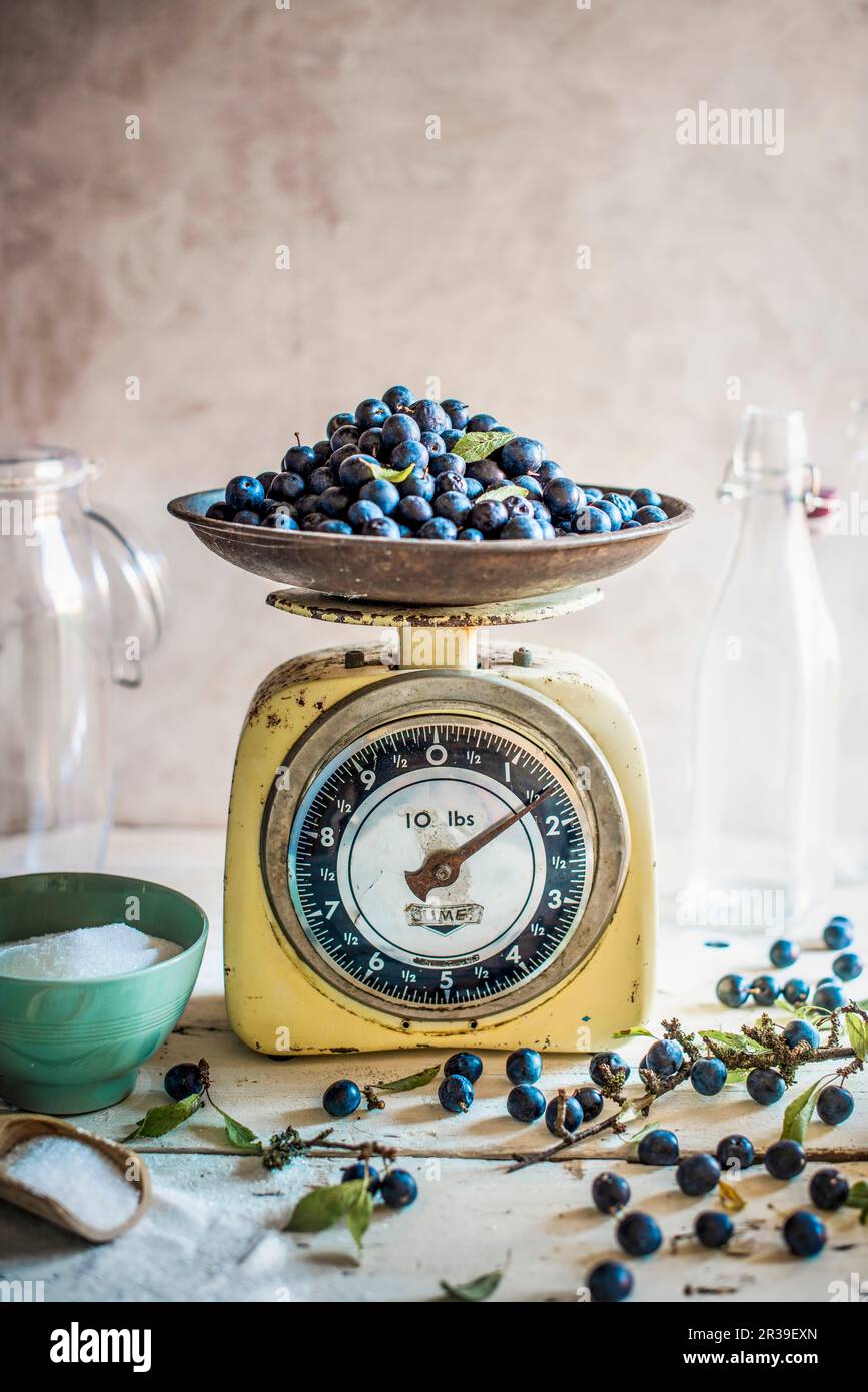Sloe gin making hi-res stock photography and images - Alamy
