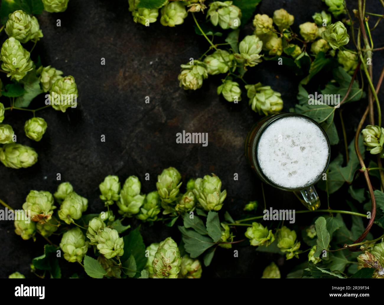 Beer and hops Stock Photo - Alamy