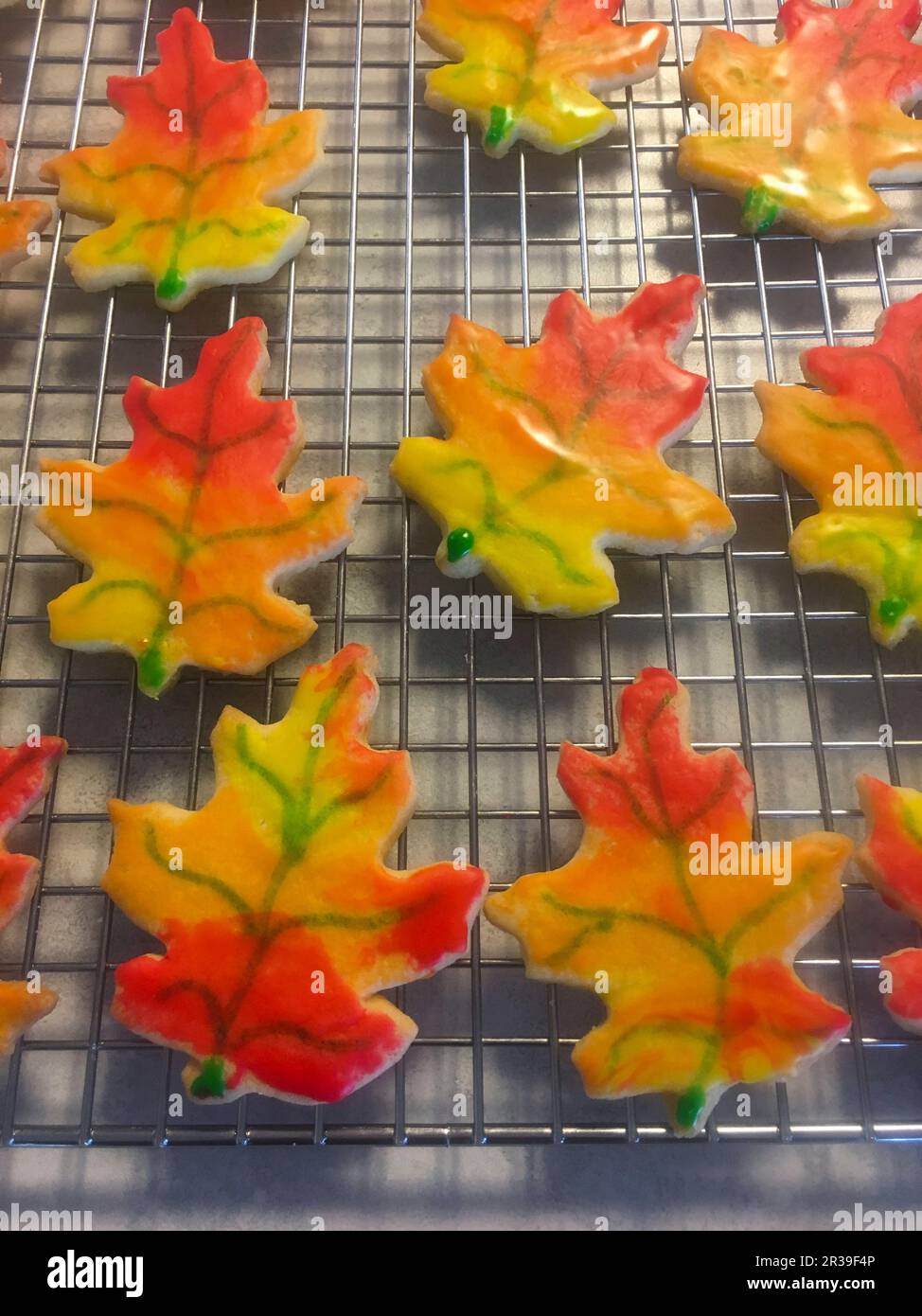 Oak leaf shaped biscuits hi-res stock photography and images - Alamy