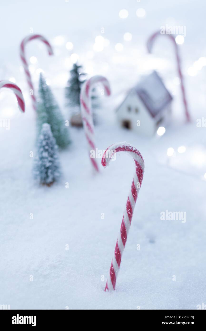 Decorative small christmas trees hi-res stock photography and images ...