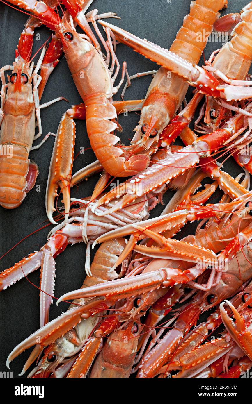 Filling the image hi-res stock photography and images - Alamy