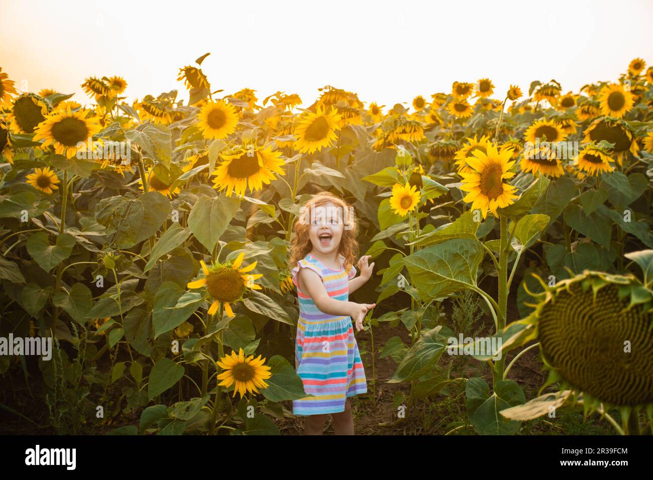 Happy child having fun in summer field with sunflowers. Freedom concept ...