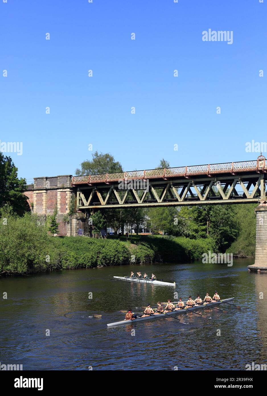Rowers on the river Severn in Worcester, uk Stock Photo - Alamy