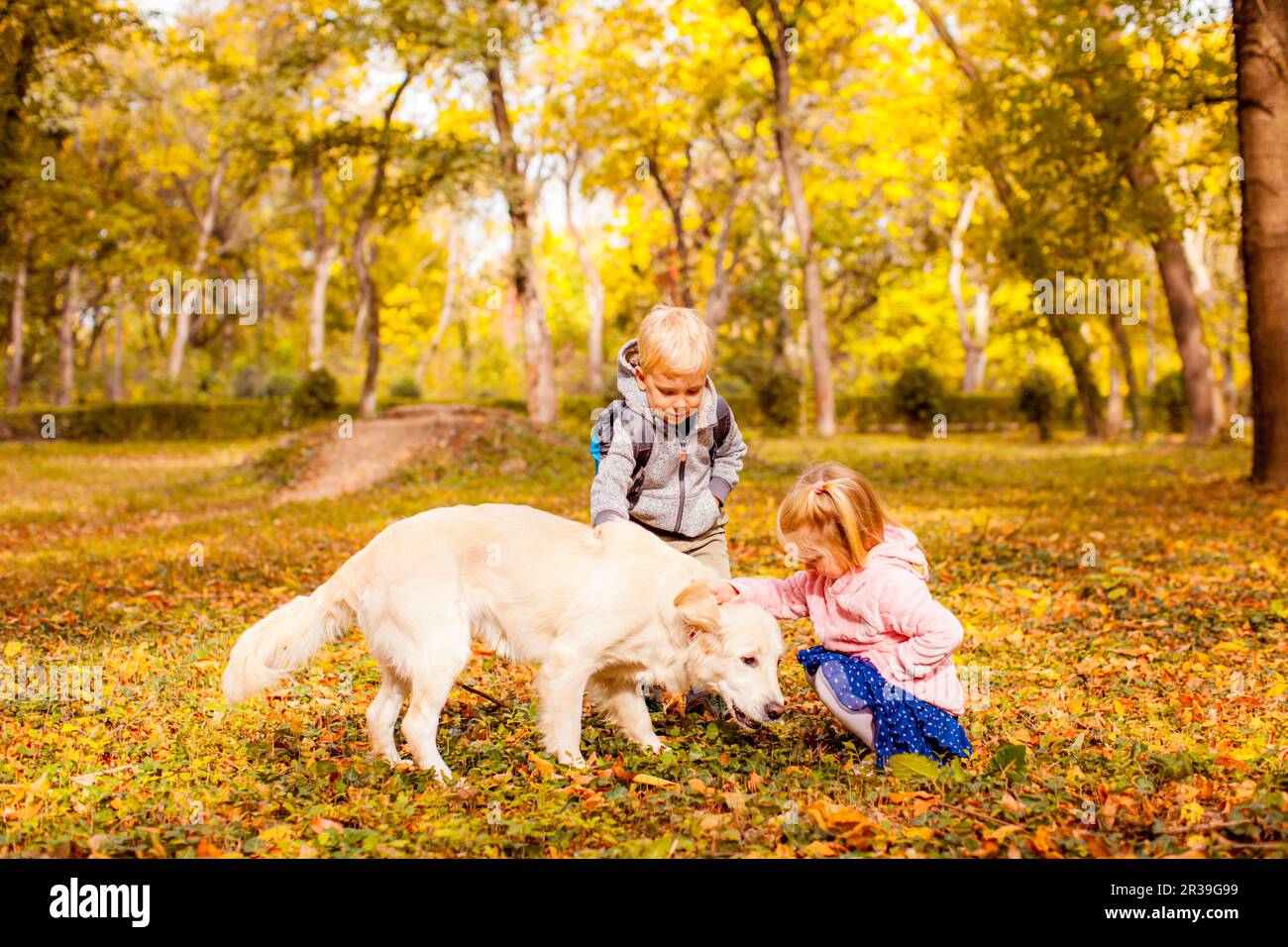 Children playing with dog outside hi-res stock photography and images ...