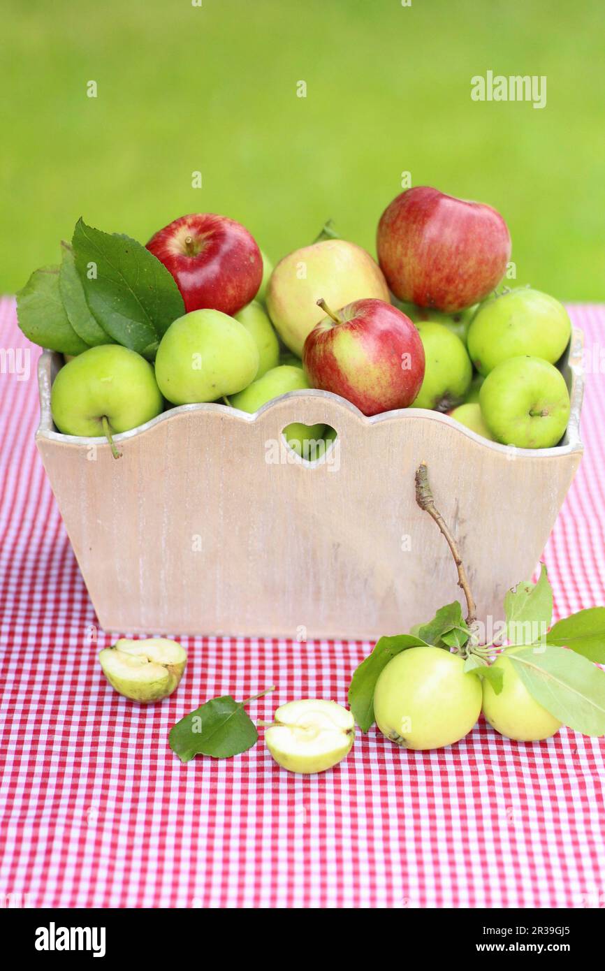 Various fruit in wicker hi-res stock photography and images - Alamy